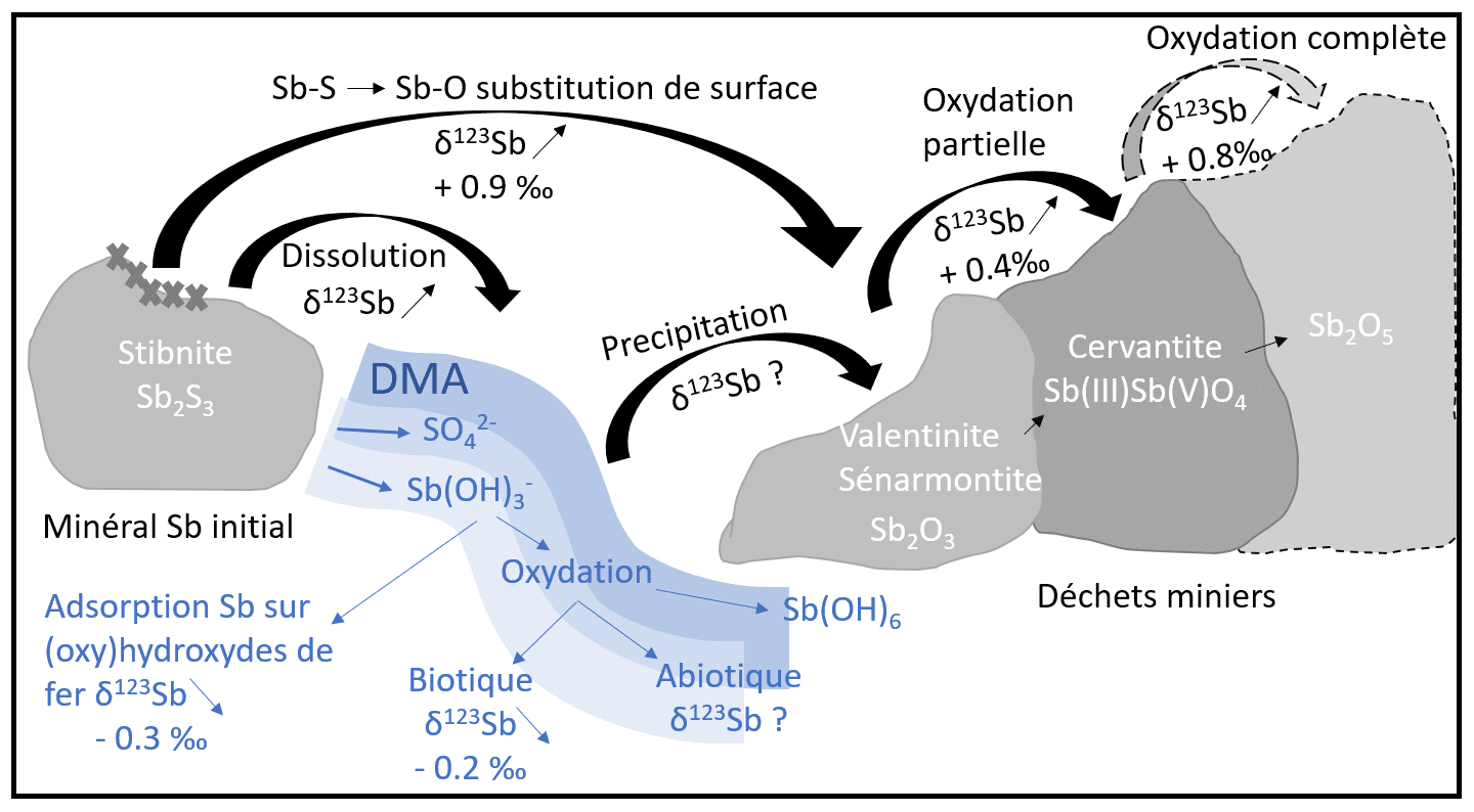 The contribution of stable isotopes of antimony for tracing pollution ...